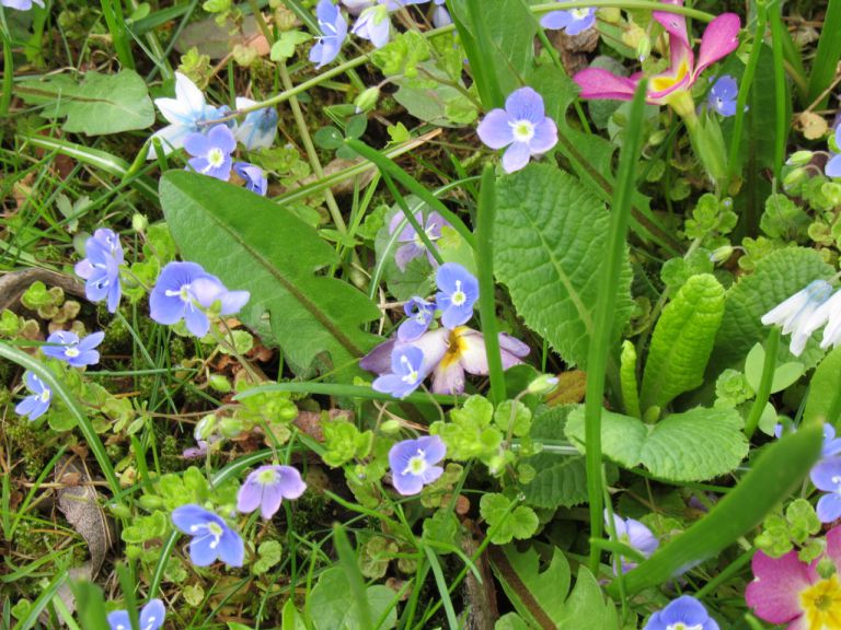 ANGSTGRUPPEN - SEPTANA® – Archetypen der Seele®